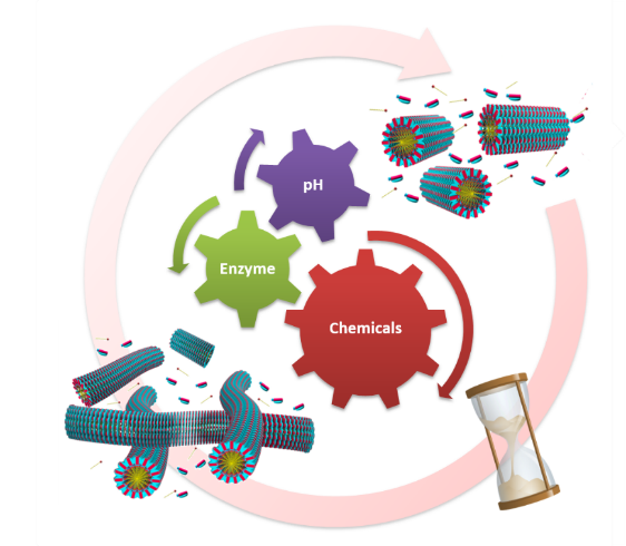 Supramolecular Polymers Official Website Of Jawaharlal Nehru Centre For Advanced Scientific